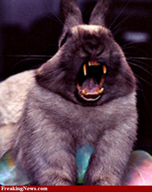 Anywho...: Happy June 1st