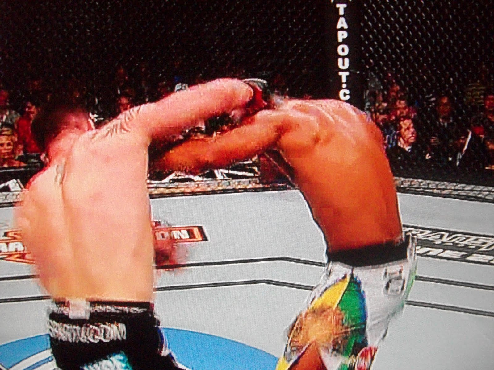 ZombieBloodFights.com Blog: FIGHTS: UFC 130-Excitement in Reverse...
