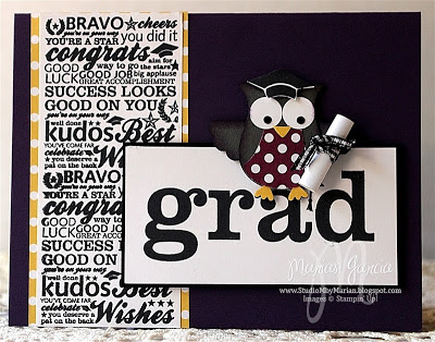 Studio M by Marian: Graduation Owl CARD