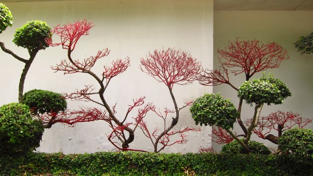 Anne and Monica: Ballers in Bali