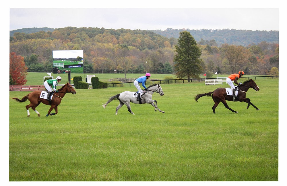 Steeplechase Track Layout - Aintree Racecourse & Grand National ...