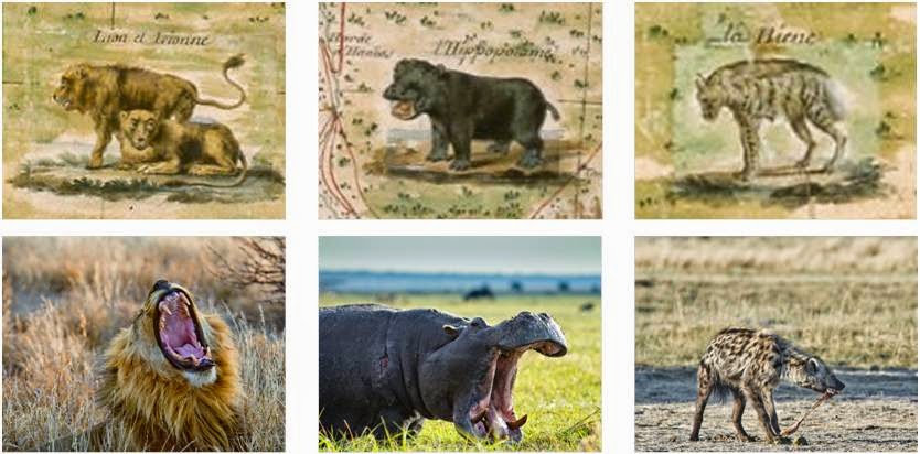 EL GRANDIOSO OFICIO DEL EXPLORADOR ~ MAPAS Y OTROS CUENTOS