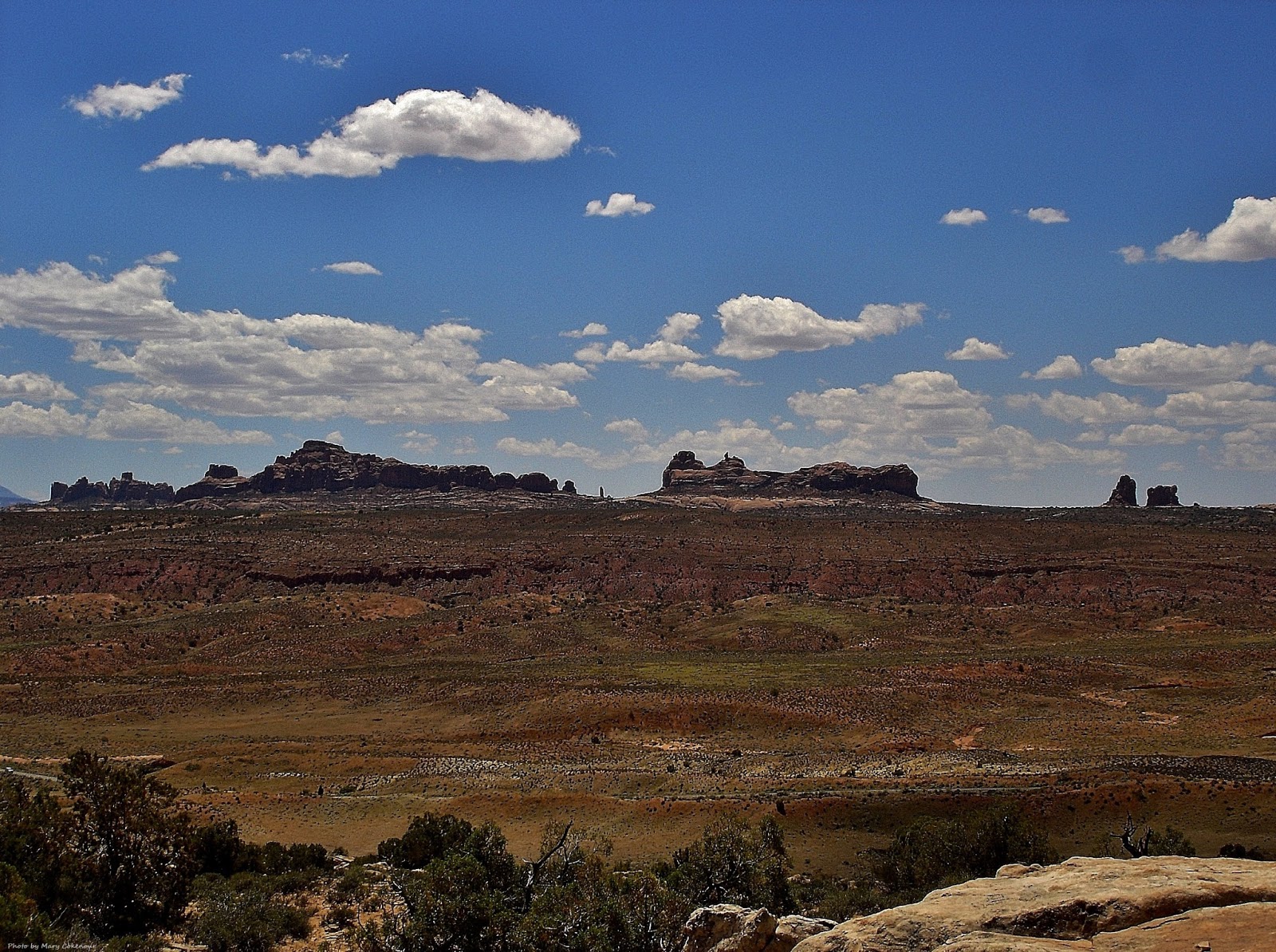 The Southwest Through Wide Brown Eyes: Salt, Fire, Penguins, Odds and ...