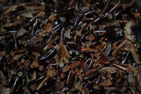 Maggie's LesVegan Kitchen: My Very Favorite Wild Rice