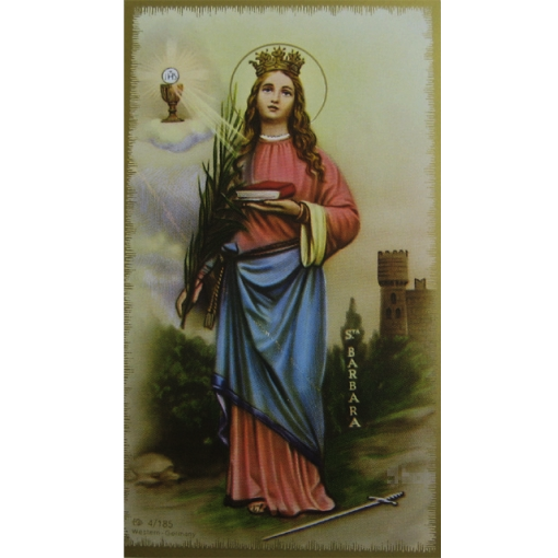 Plantagenet Rose: Barbaratag