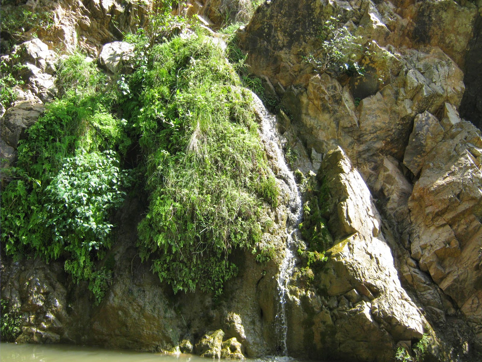 MuthyalaMaduvu , Pearl Valley , Anekal , near Bengaluru