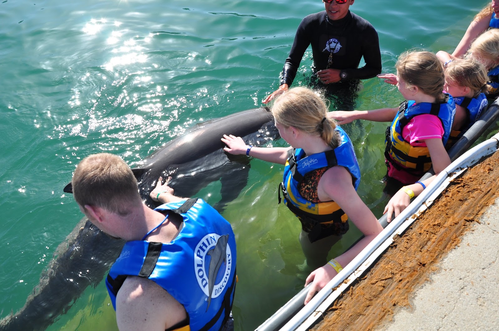 Explore Colorado: Dolphin Discovery San Jose del Cabo