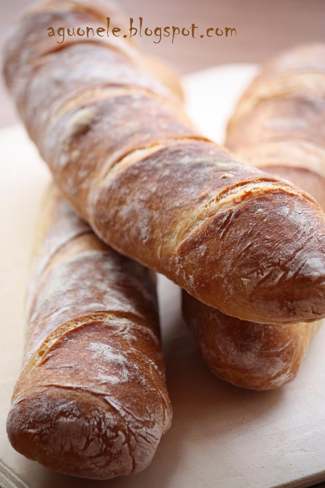 aguonėlė: Bagetės Nr.2