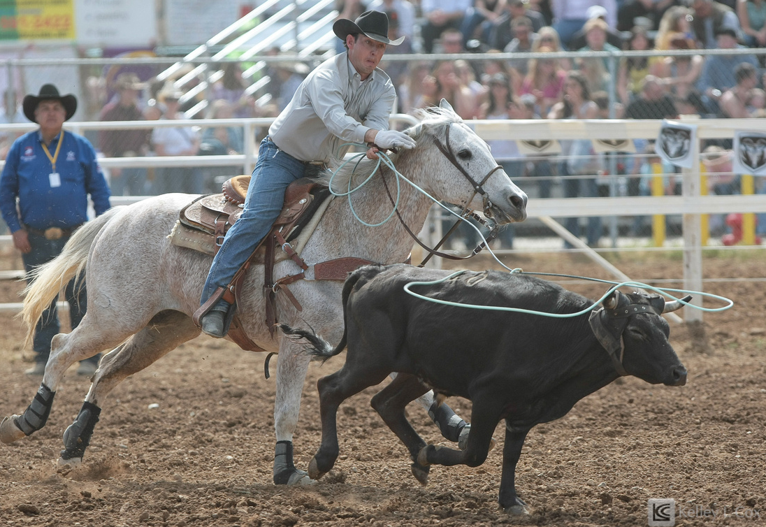 Kelley L Cox | Red Bluff Round-Up