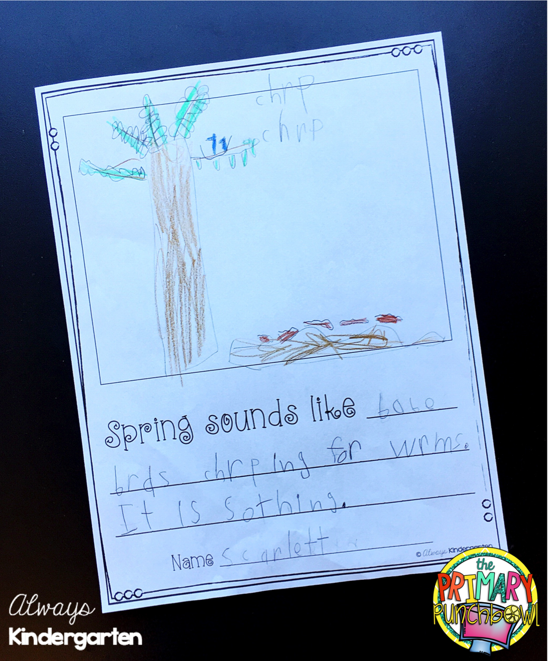 Sounds of Spring - The Primary Punchbowl