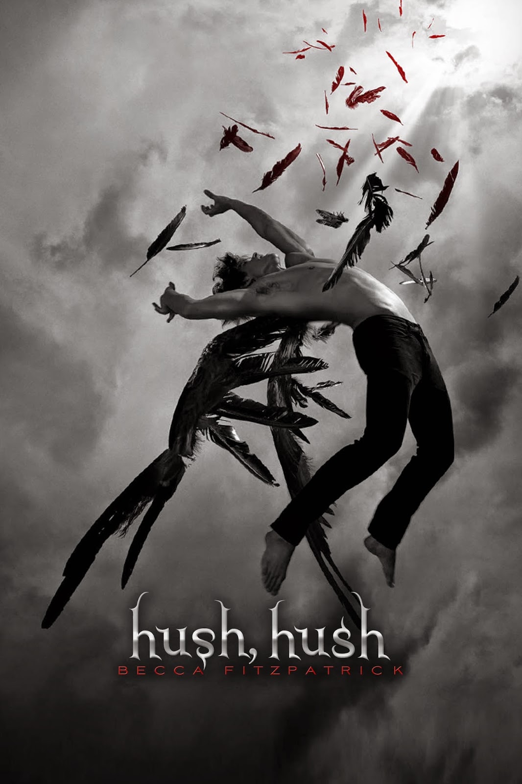 ॐThe Book Journeyॐ: Book Review: Hush Hush Series by Becca Fitzpatrick ...