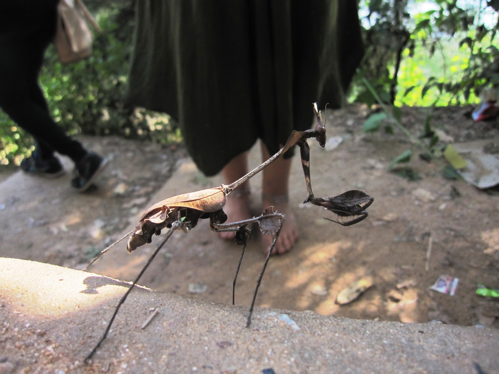 .Creating. .Something.: Dezember 2016