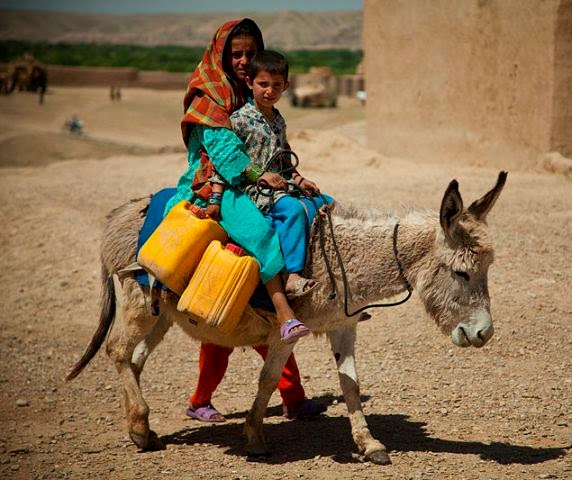 "Sampath Speaking" - the thoughts of an Insurer from Thiruvallikkeni ...