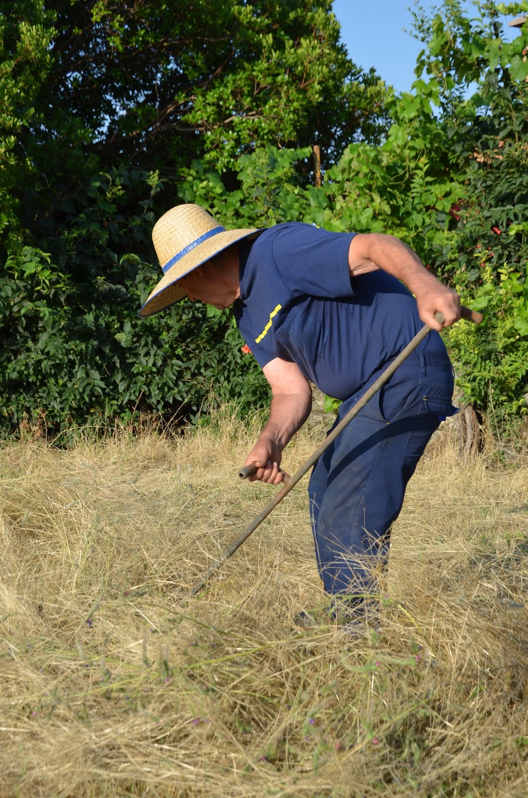 YEGUADA MILITAR: FABRICANDO UN ALMIAR