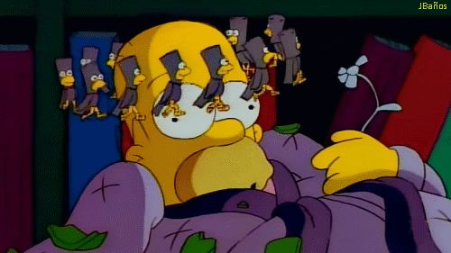 Simpson gif: Homer I sometimes see little birds