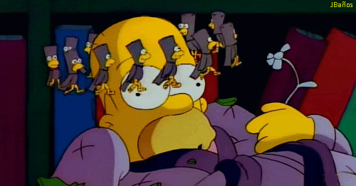 Simpson gif: Homer I sometimes see little birds
