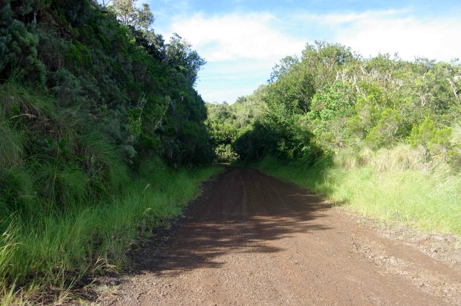 D'île en île: La route forestière de la plaine d'Affouches