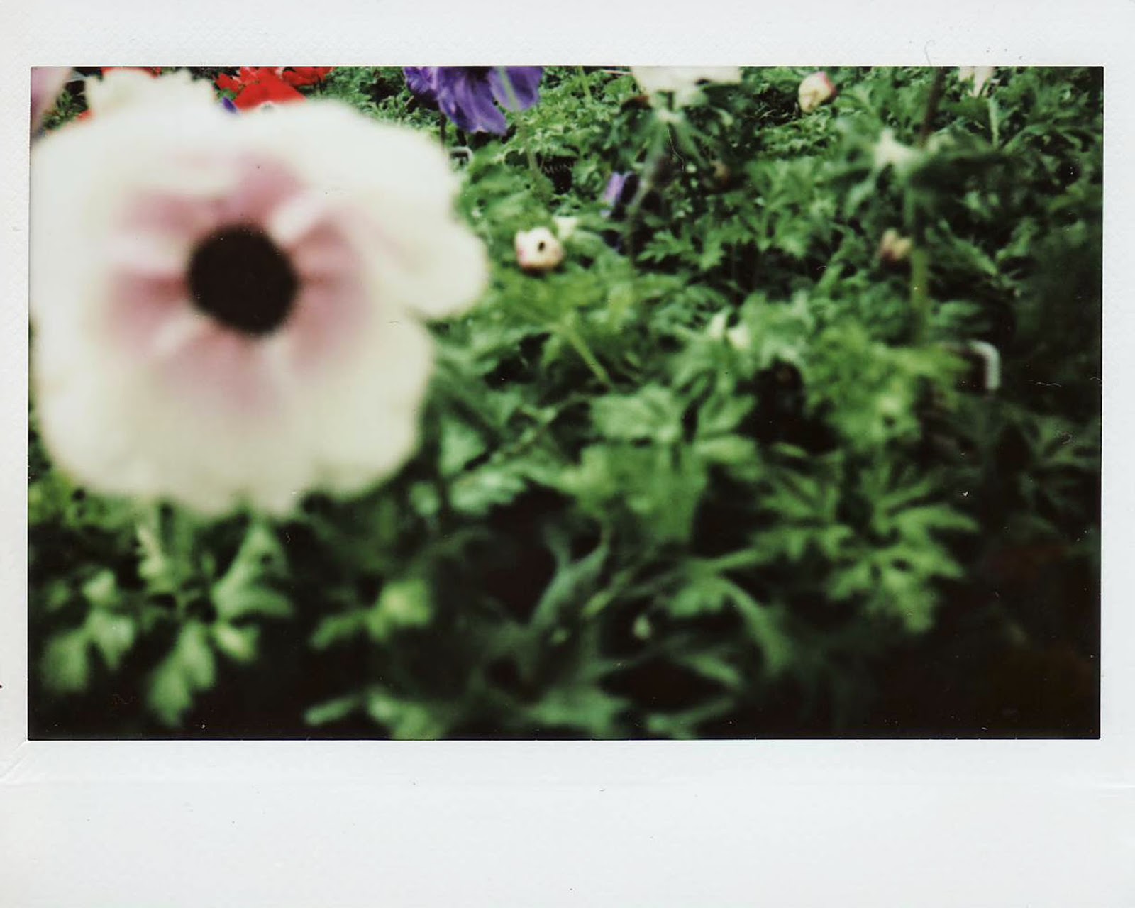 Spring, Where Are You? • [Rayne To River]