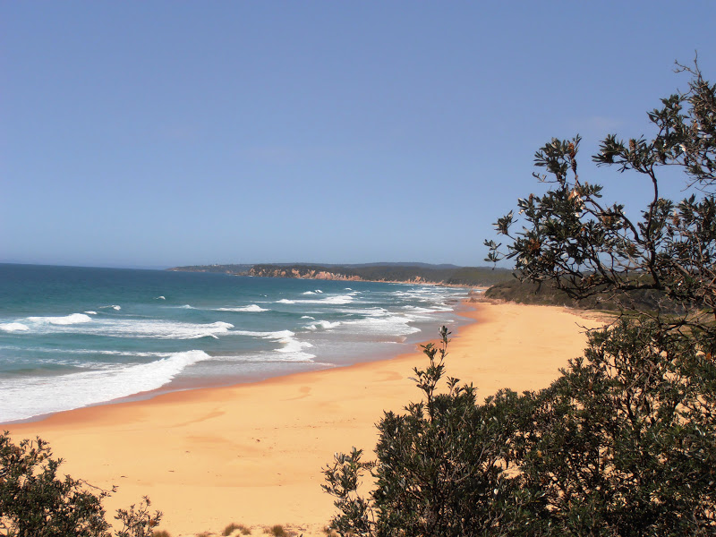 The Clarke's Aussie Adventure: 24 October 2012 - Bega Caravan Park ...