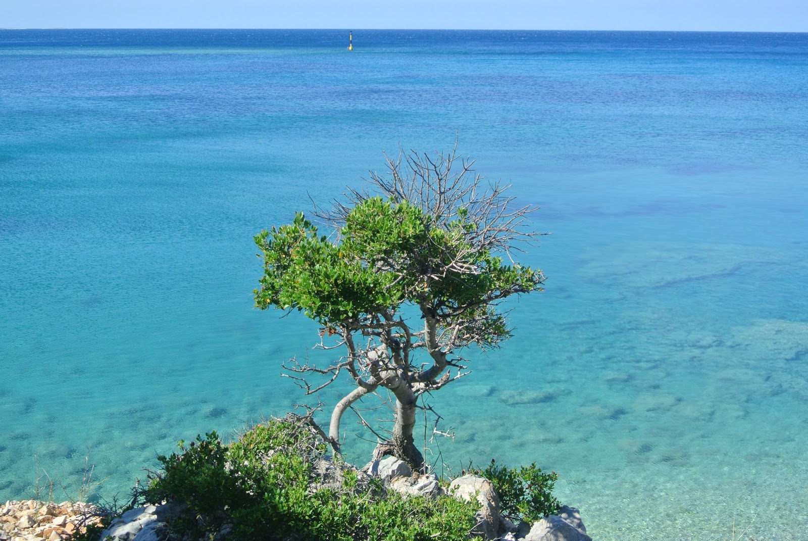 niti za srečo: morje 2017