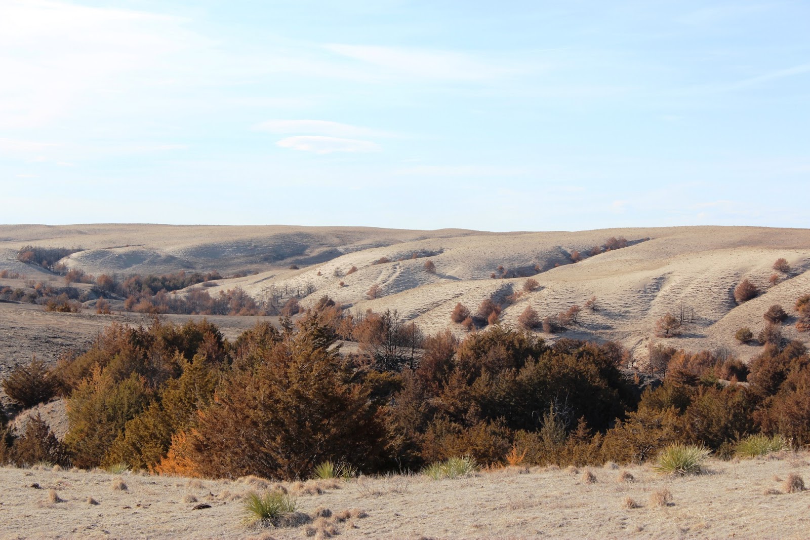 Nebraska Sand Dunes