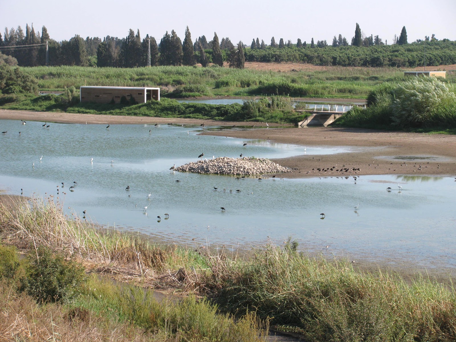 Handmade in Israel: Mishmar HaSharon Reservoir and Agamon Hefer