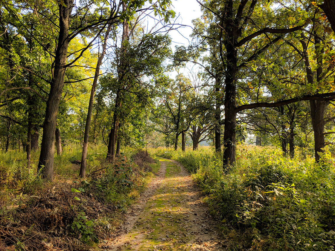 UW Arboretum Hiking Trails