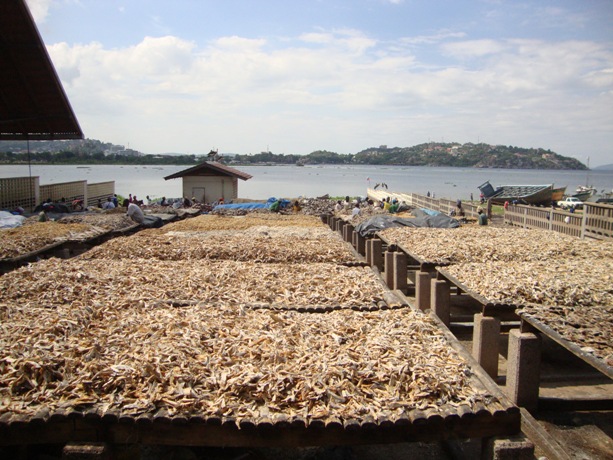 Unique Entertainment Blog: SOKO LA SAMAKI MWALONI JIJINI MWANZA