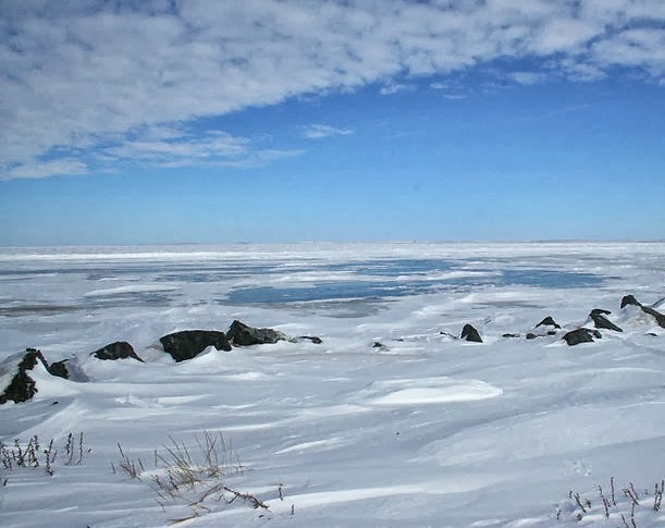 Nordic Wiccan: Niflheim