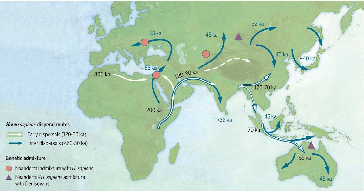 Rosa Rubicondior: Human Evolution - Dispersal Out of Africa