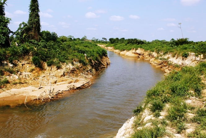 La verdad del pueblo: ¿Ecocidio de Mineros S.A. en el río Nechi?