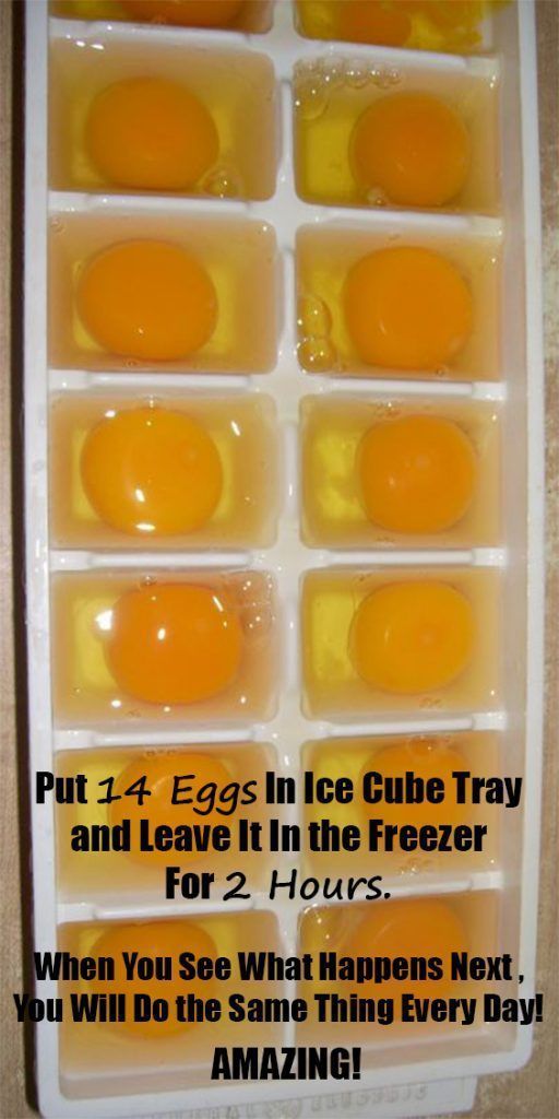 SHE PUT EXACTLY 14 EGGS IN ICE CUBE TRAY AND LEFT IT IN THE FREEZER FOR ...