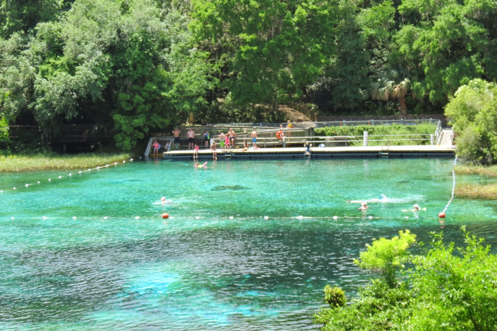 On the Road Again: RAINBOW SPRINGS STATE PARK, Dunnellon, Florida