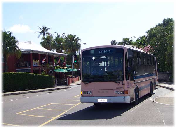 Cruise With Christine Pappin: Pink Buses Back on Streets