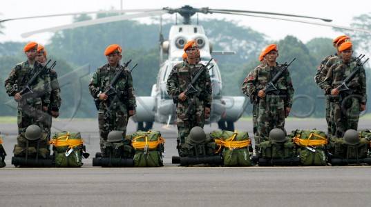 warna warni indonesia: Tentara Nasional Indonesia Angkatan Udara