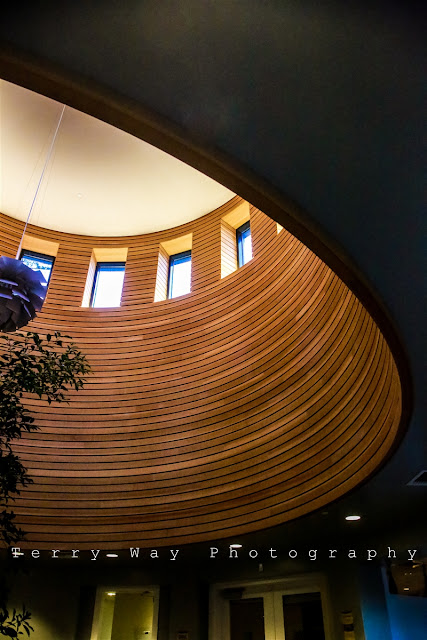 Terry Way Photography Santa Cruz Photographer: UCSC Hosts Dr. J. Herman ...