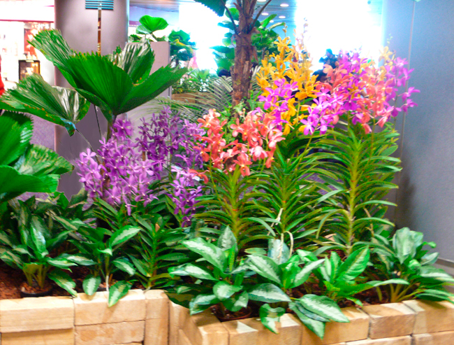 Tropical Garden and Landscape: Professionally Designed Indoor and ...
