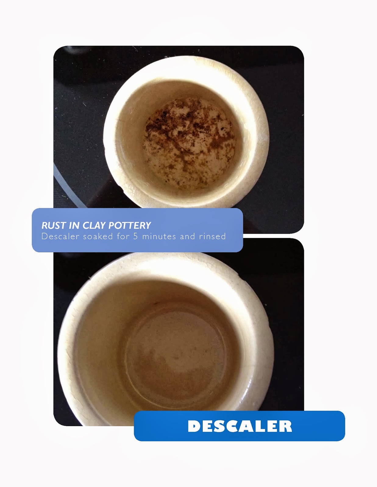 Rebecca Lange - Norwex Independent Sales Consultant: Norwex Descaler