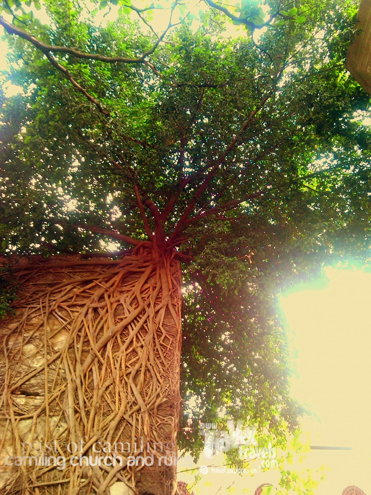 Camiling Church and Ruins - Travex Travels - Travel. Explore. Fun in PH