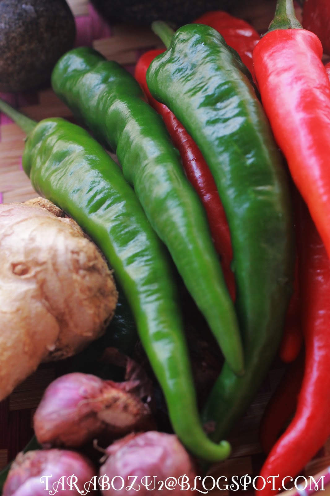 SOLOK LADA | AIR TANGAN ZUHAIDA