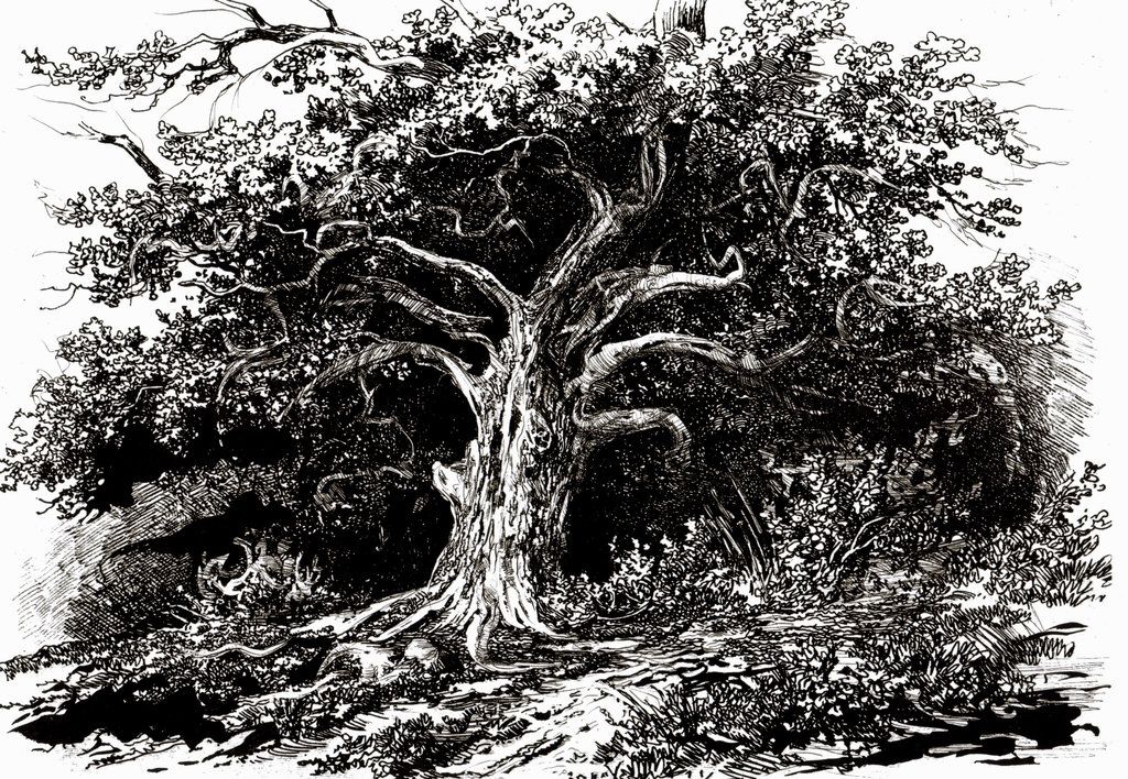 GHOSTS DON'T REALLY CARE ABOUT US. The origins and fall of Halloween in ...