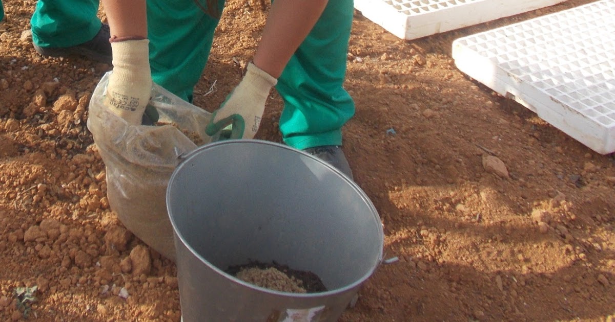 Hortus naturalis : Semilleros