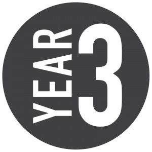 Third year 2017 UNIVERSITY EXAM papers