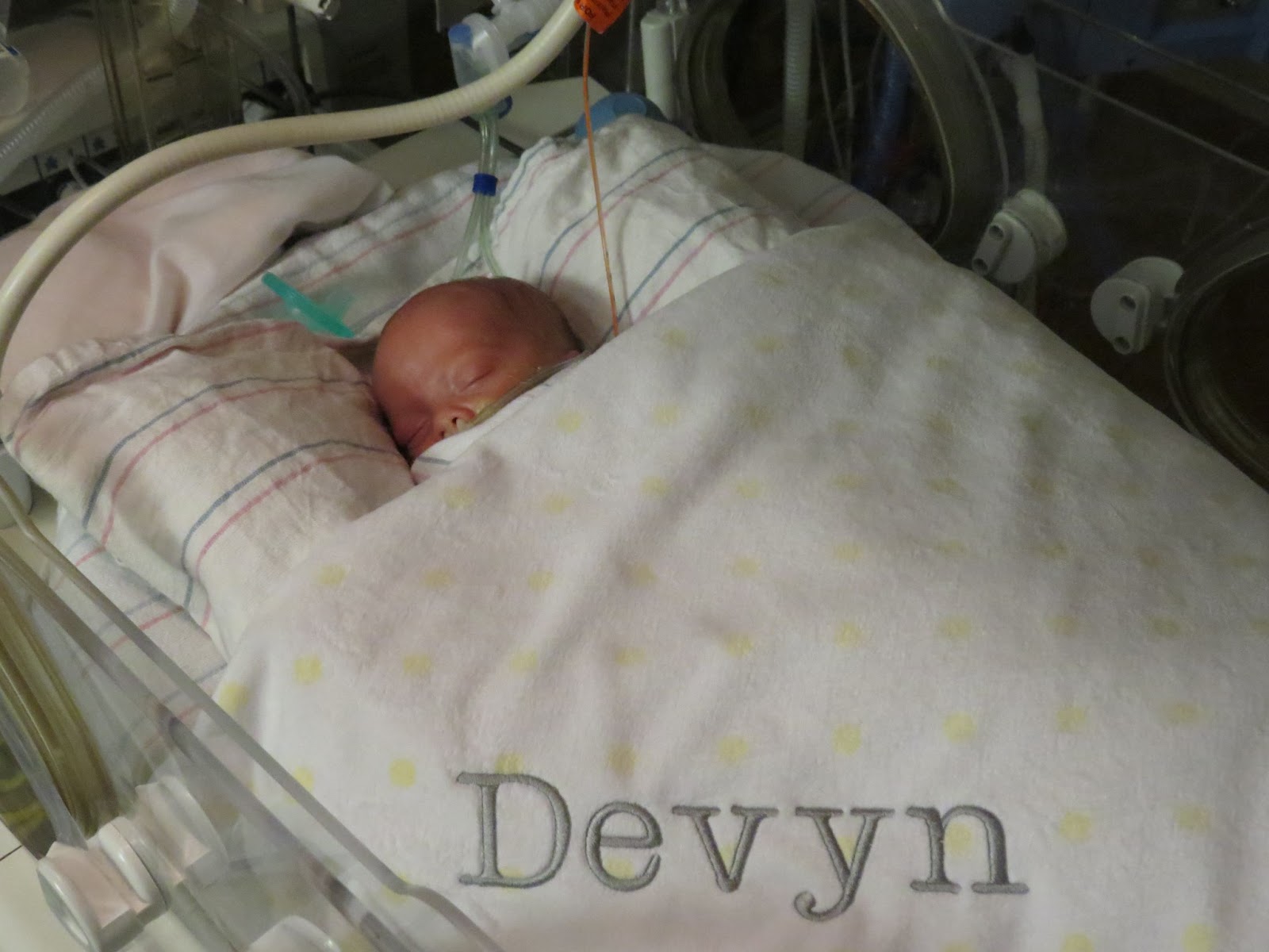 Four Marshmallows: Big Girl Bed!