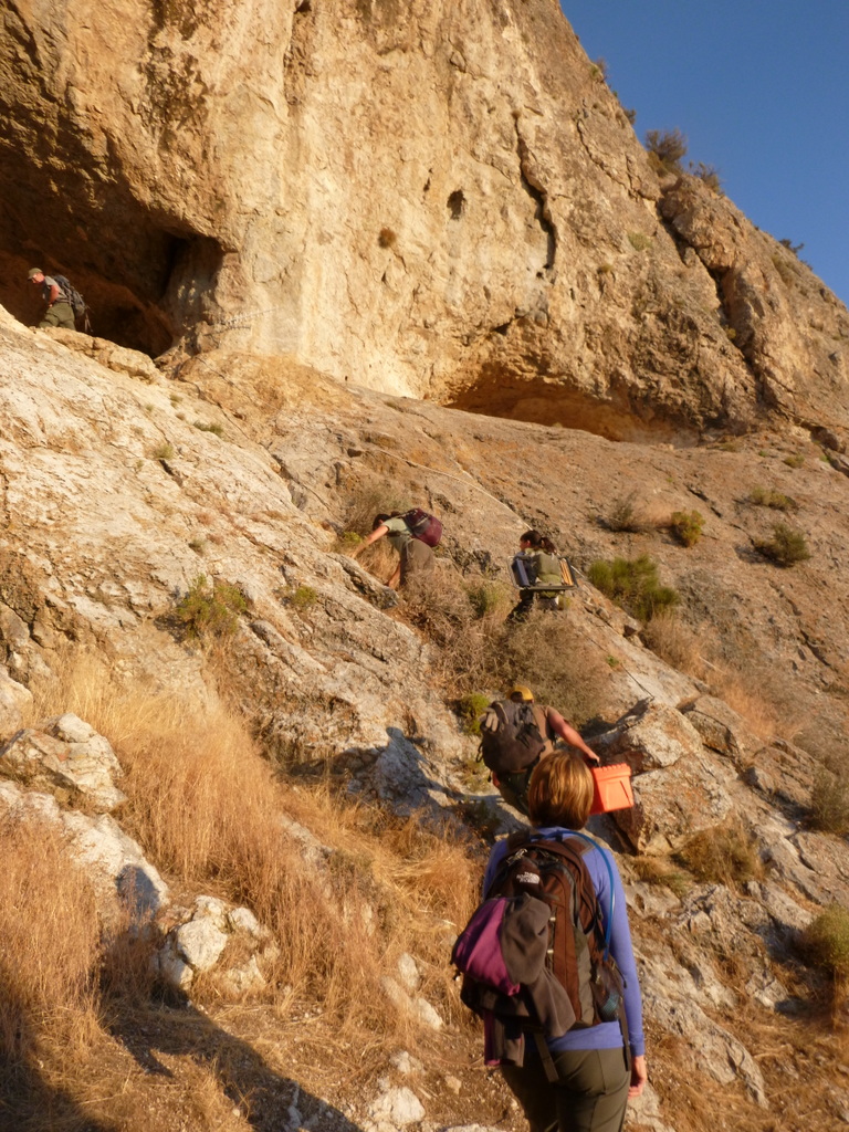 Desert Survivor: Bat Banding