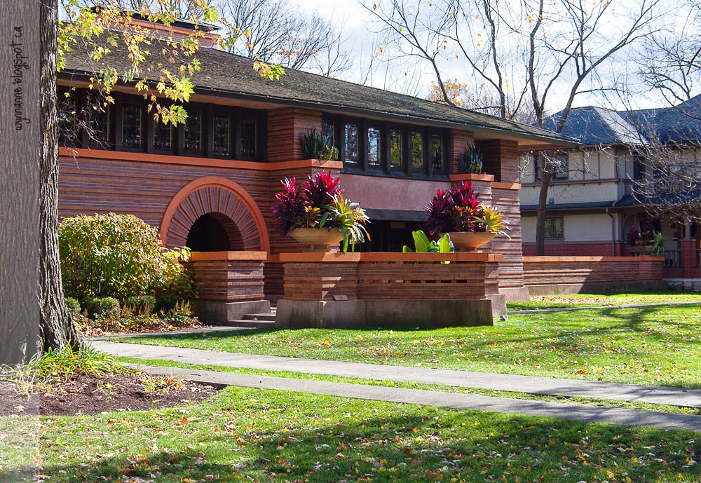 Wynn Anne's Meanderings: The Douchebag Genius