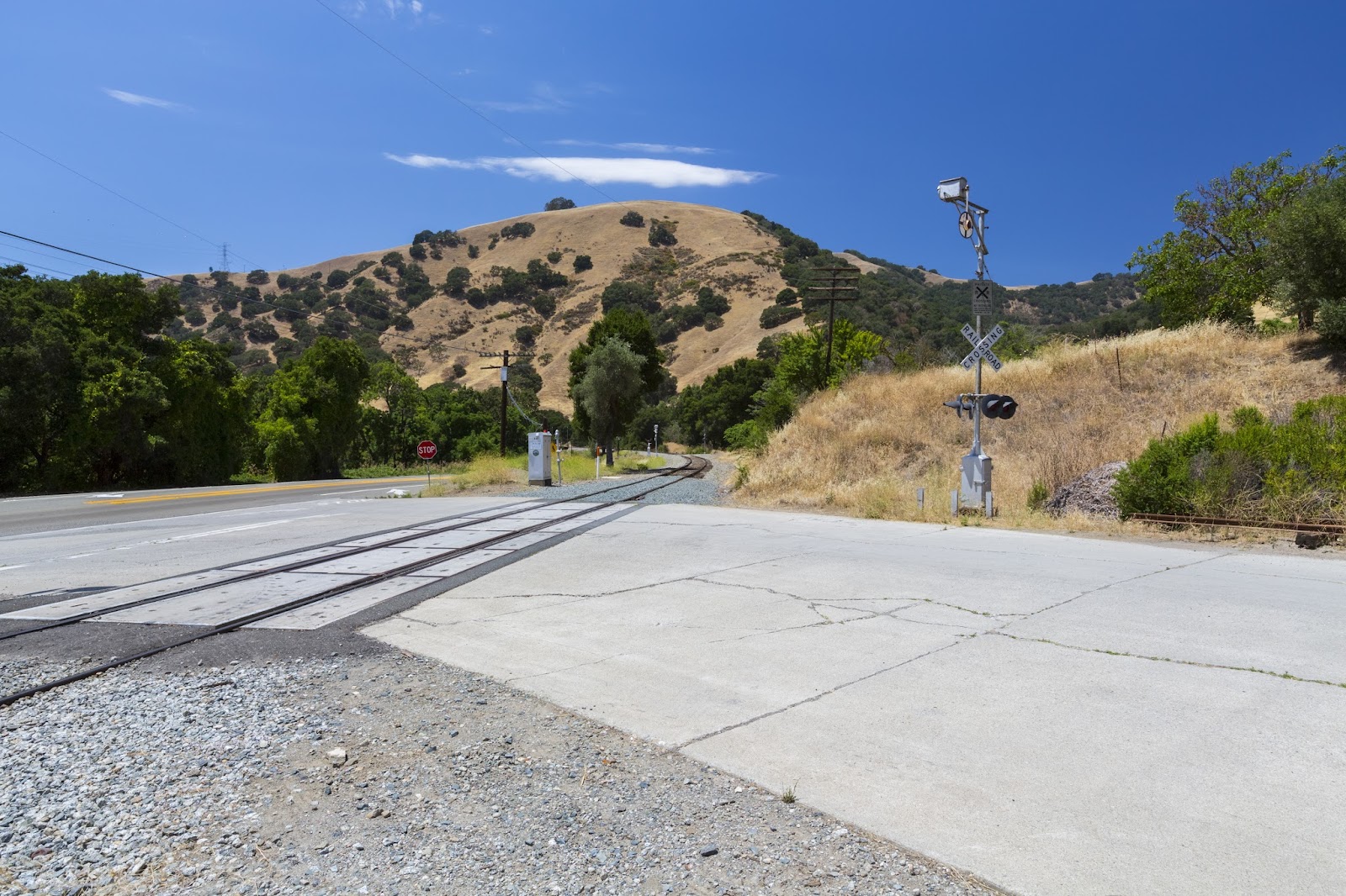Naturetastic Blog: Niles Canyon/Alameda Creek - Sunol/Fremont, CA