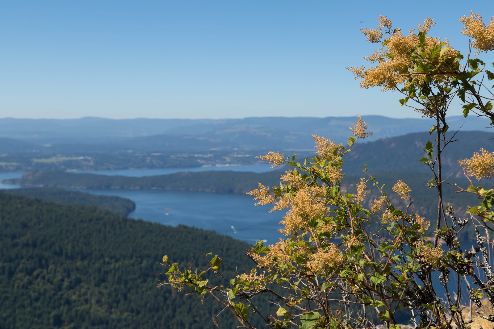 Charleston Daily Photo: On the road - West coast island hopping