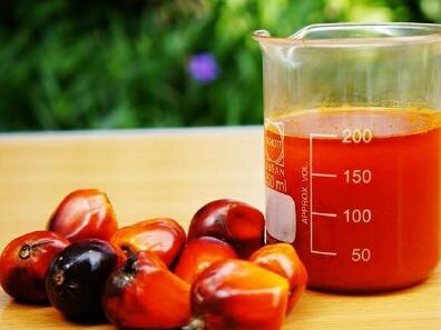 palm oil machine: palm oil production line, palm oil filtration, palm ...