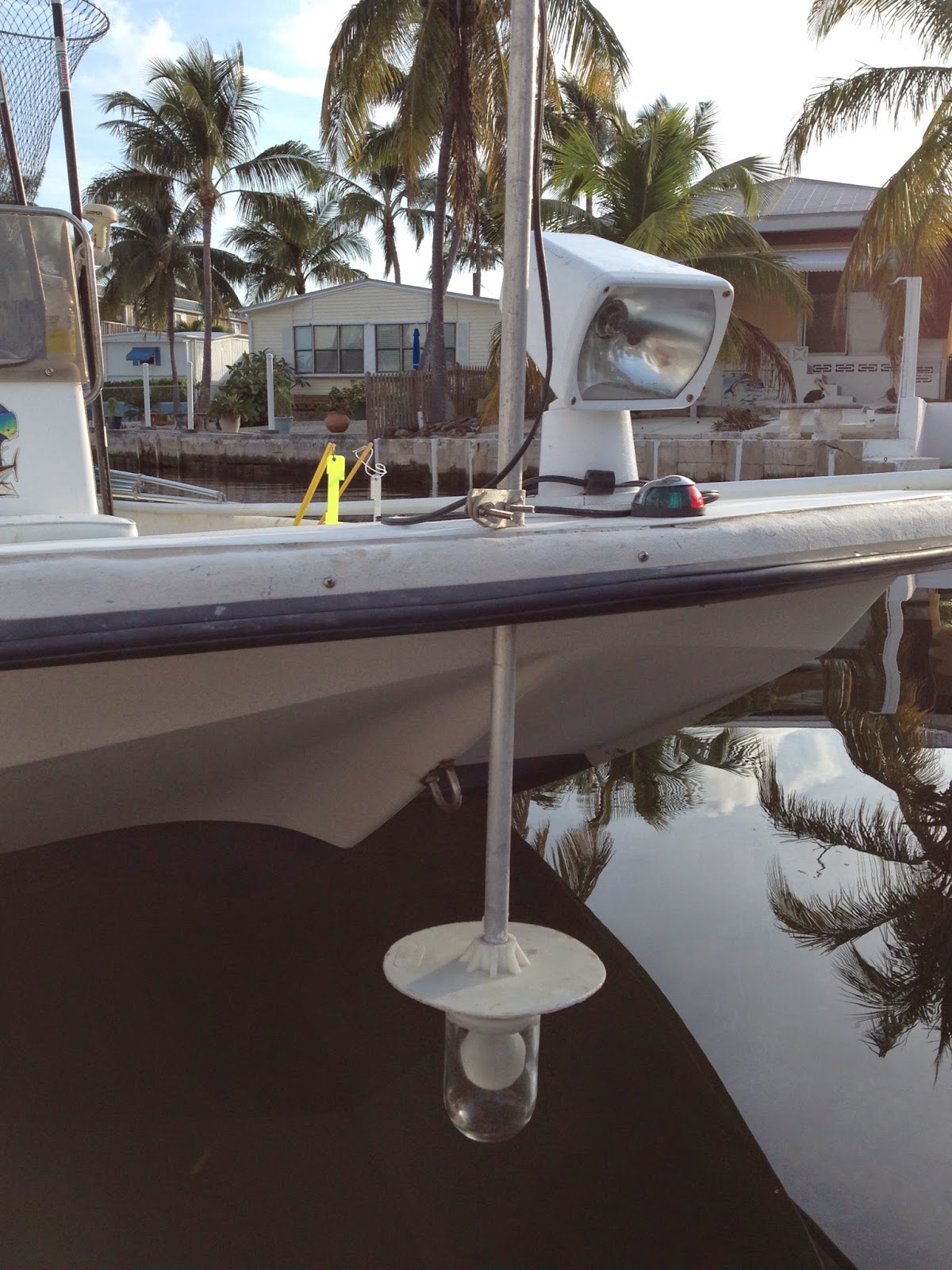 Lezlie's World: BULLY NETTING on the NEW SKIFF